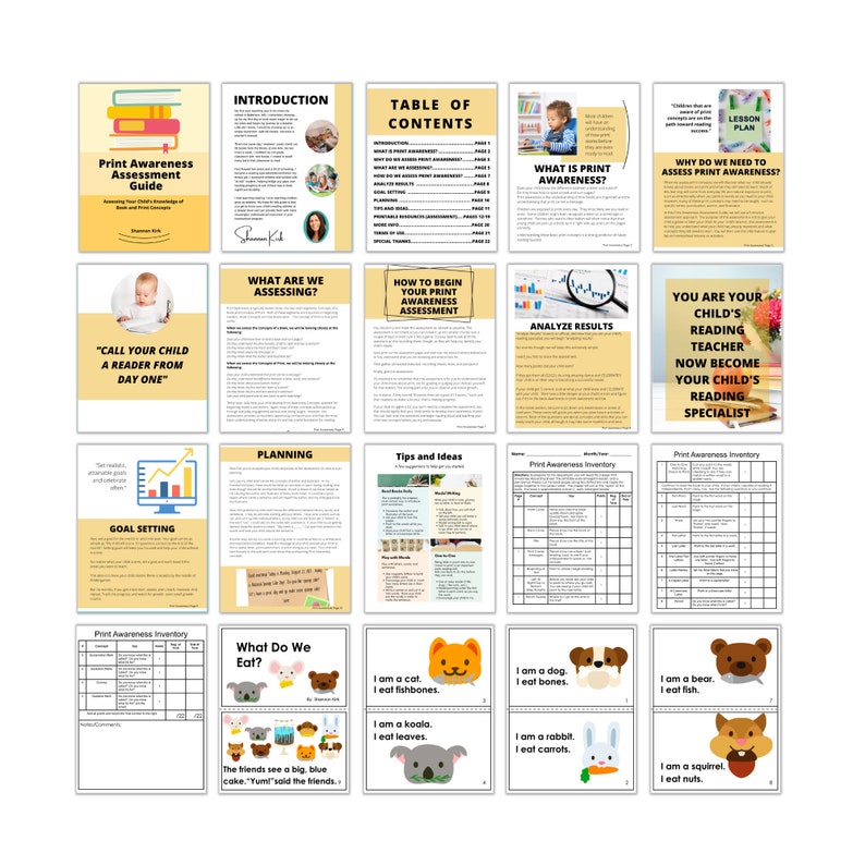 Print Awareness Assessment Guide - Etsy