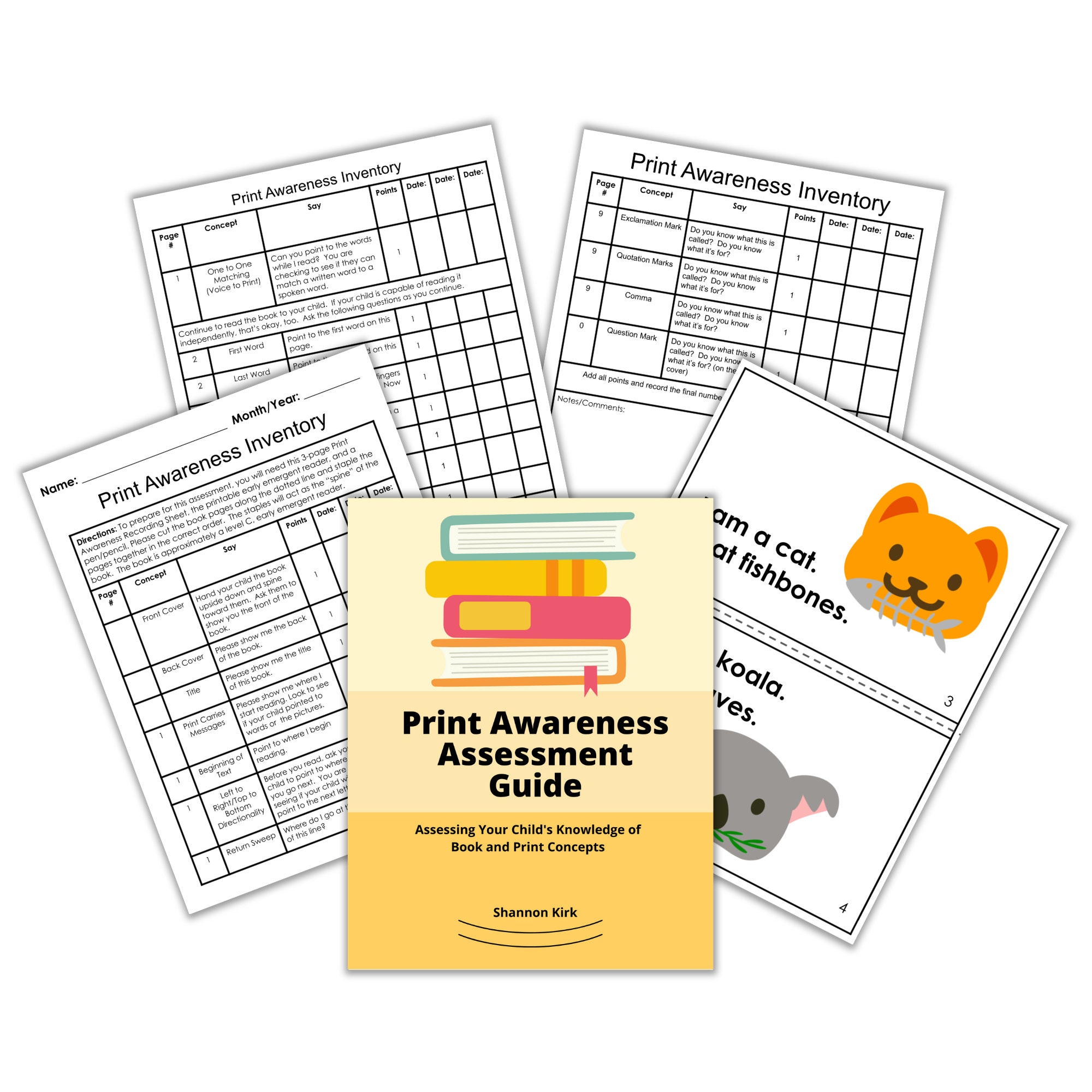 Print Awareness Assessment Guide - Etsy