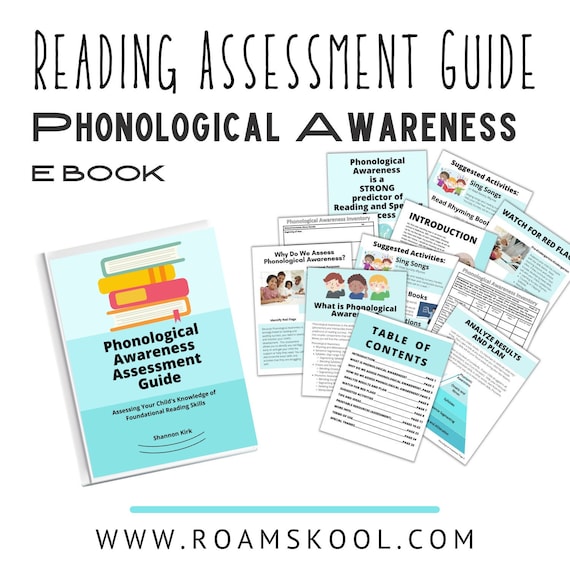 Phonological Awareness Assessment Guide - Etsy