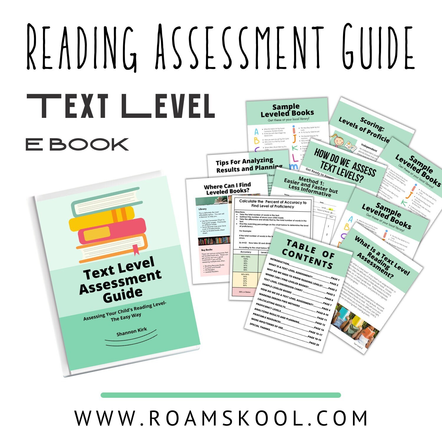 Reading Text Level Assessment Guide - Etsy