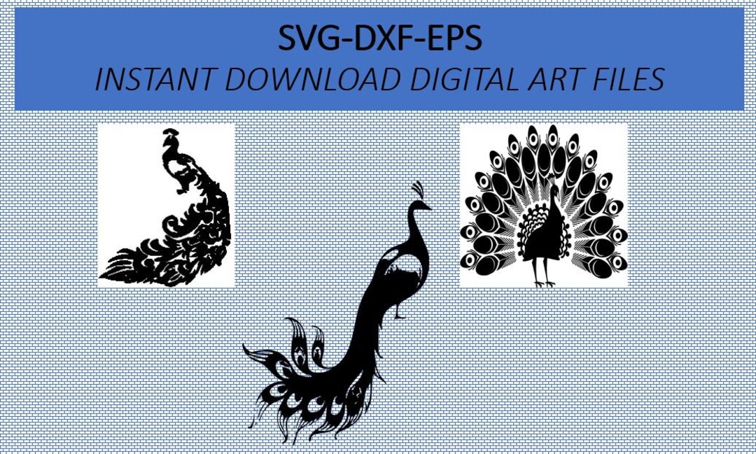Peacock Clipart, Peacock Bundle of 3 SVG,DXF and EPS Files - Etsy
