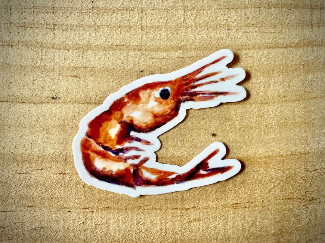 Prawn Vinyl Sticker - Etsy