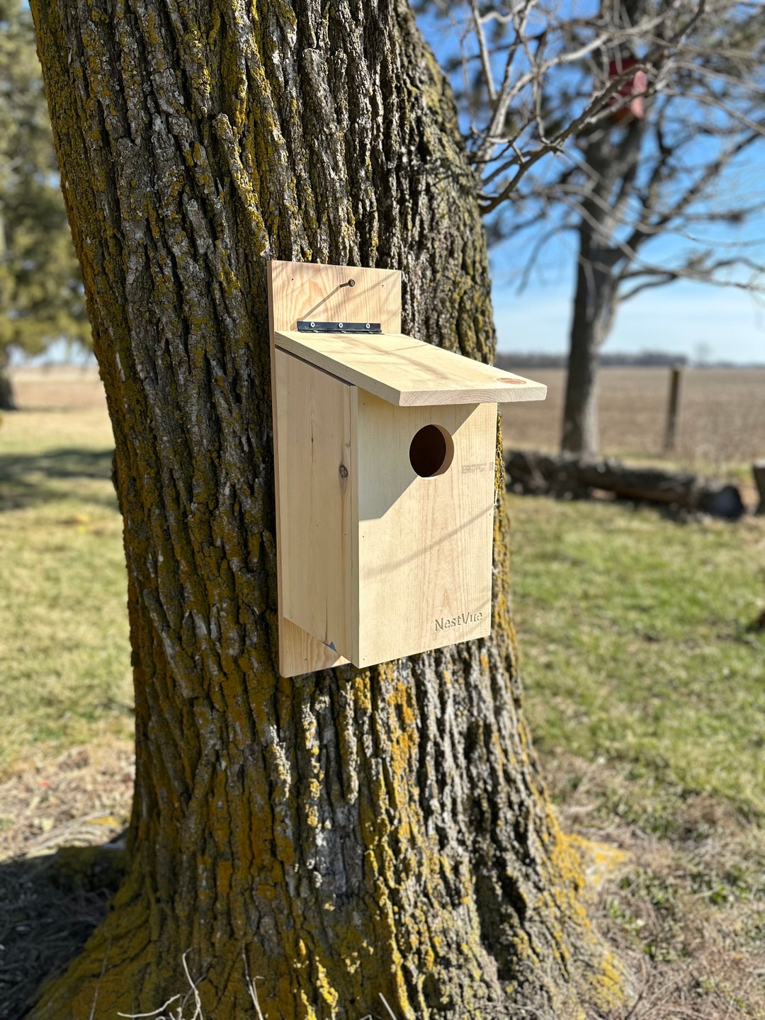 Nestvue Birdhouse Solar Powered Camera Nesting Box - Etsy