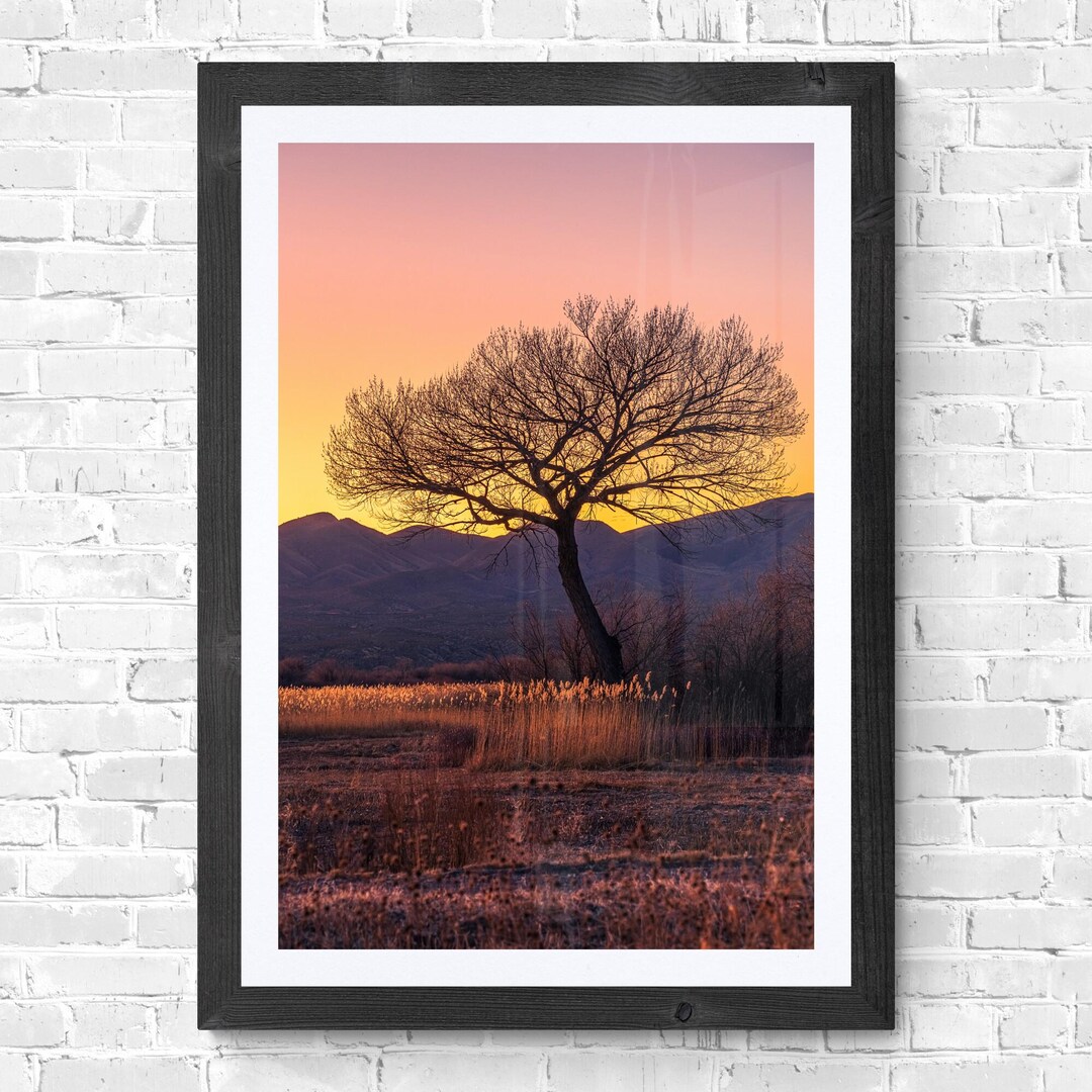 Southwest Art Bosque Del Apache Sunset Landscape Photography Cottonwood ...