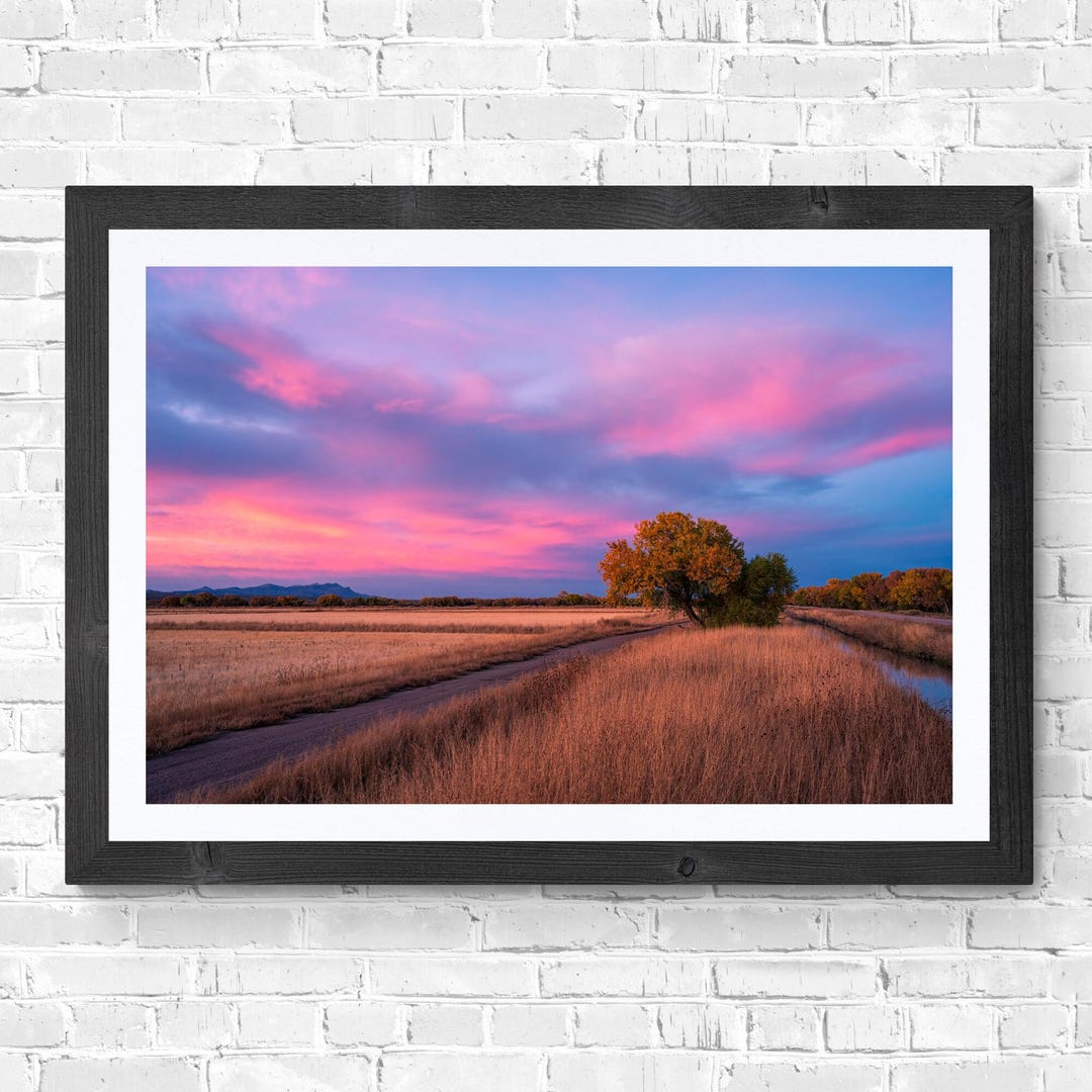 Bosque Del Apache New Mexico Landscape Sunset Blue Hour Photography ...