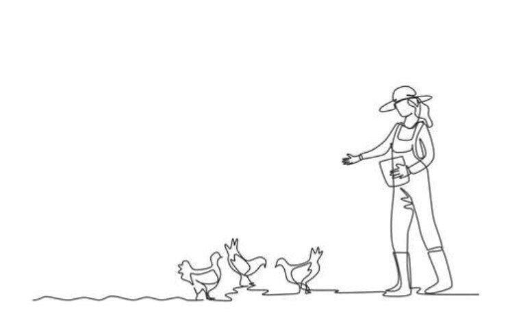 Single One Line Drawing of Young Female Farmer is Feeding the Chickens ...