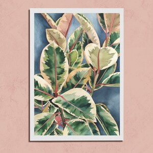 Ficus Elastica Art Print Houseplant Illustration Print Plant - Etsy