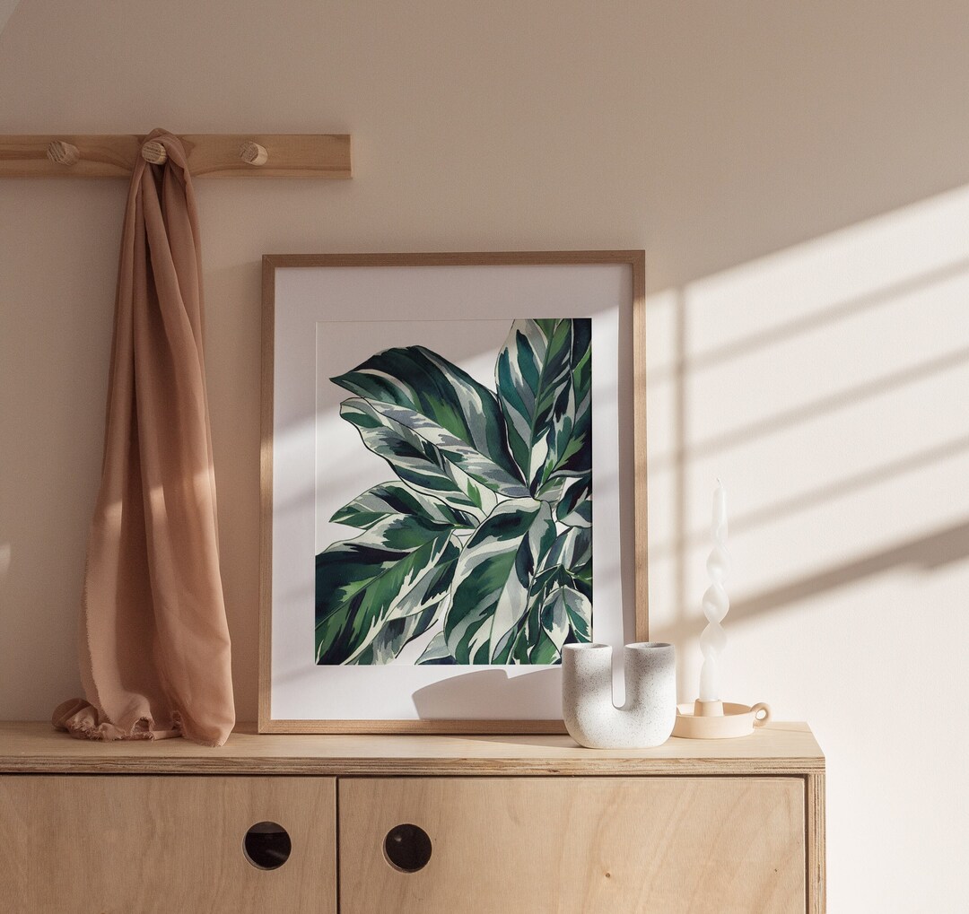 Calathea White Fusion Plant Art Print, Houseplant Illustration, Plant Lovers Gift, Plant Lady ...