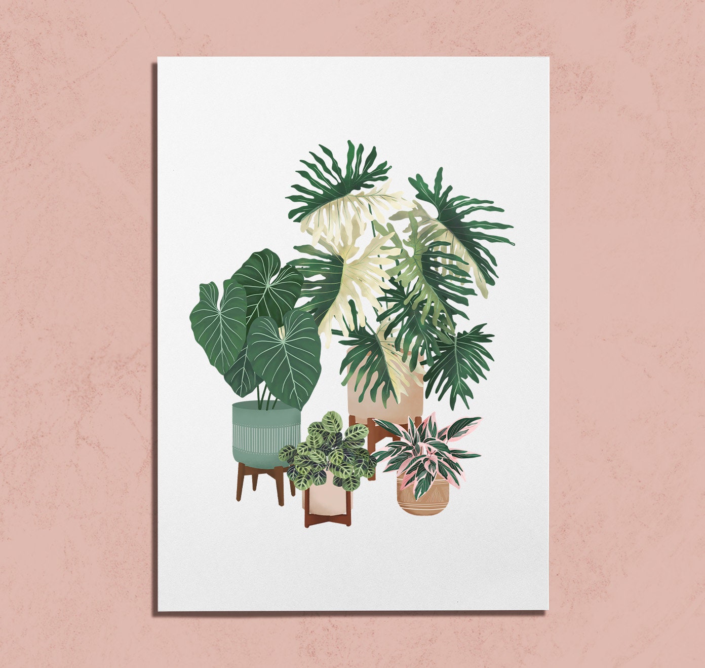House Plants Collection Art Print, Plant Lover Gift, Modern Botanical ...