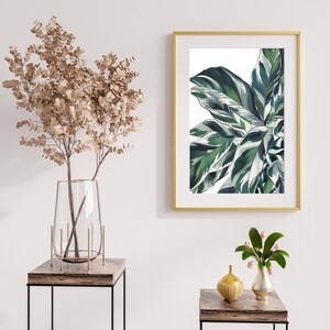 Calathea White Fusion Plant Art Print, Houseplant Illustration, Plant Lovers Gift, Plant Lady ...