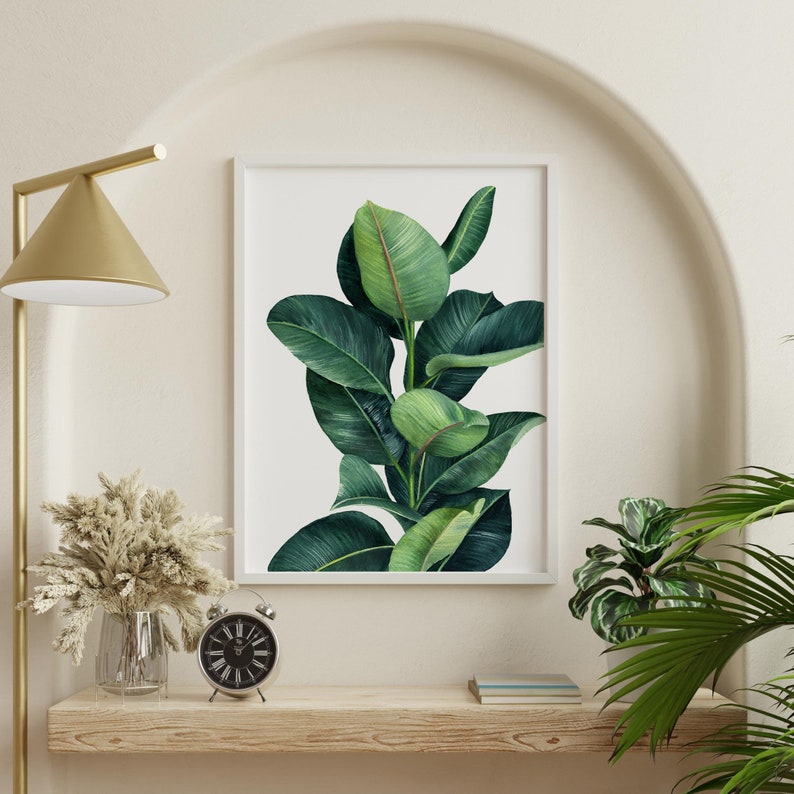 Ficus Elastica Plant Art Print Watercolor Art Print - Etsy