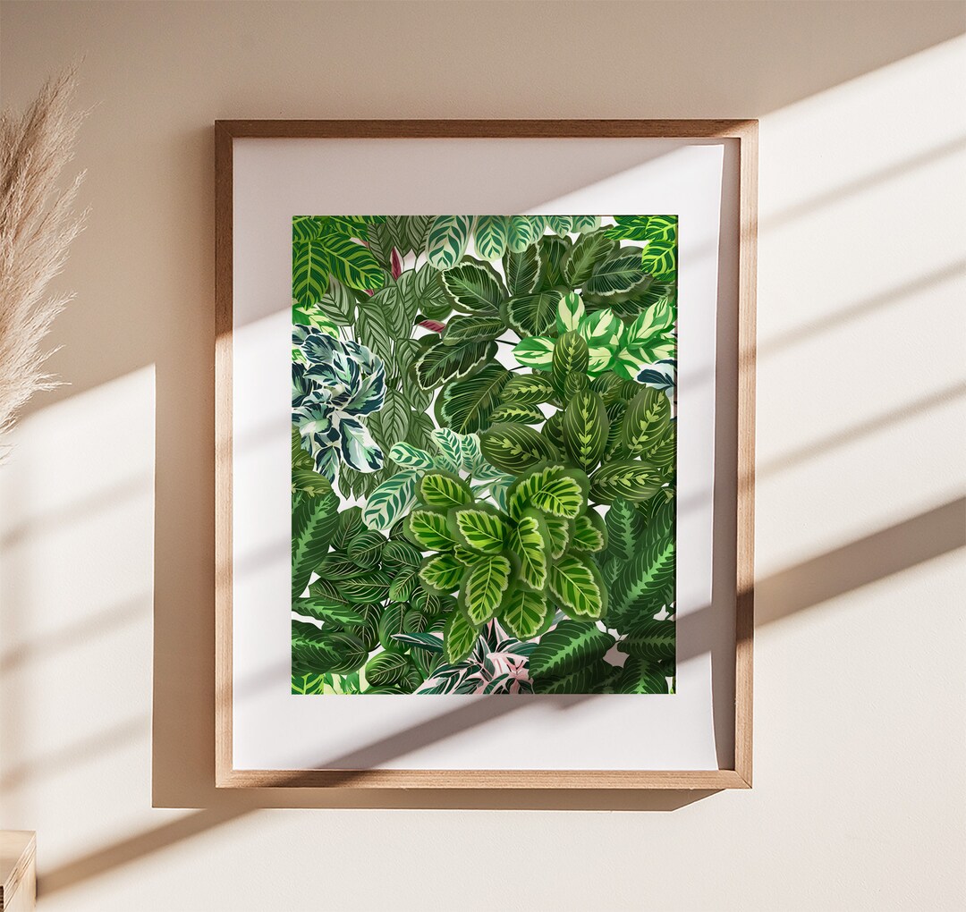 Urban Jungle Art Print 5, Plants Poster, Calathea Plants Illustration ...