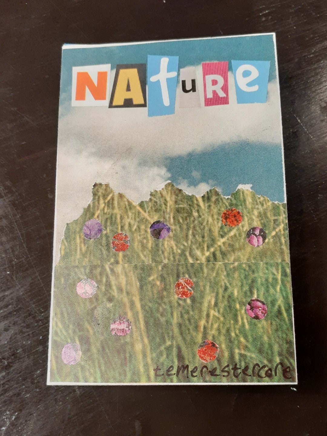 Nature Collage Zine - Etsy