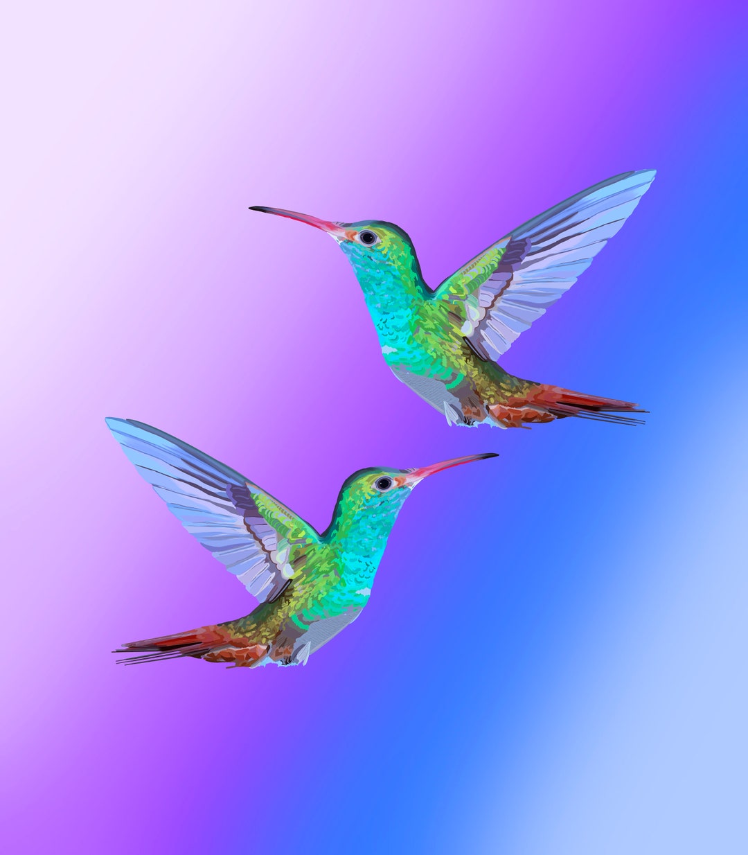 Duo Hummingbird Purple and Blue Art Print, Hummingbird Painting ...