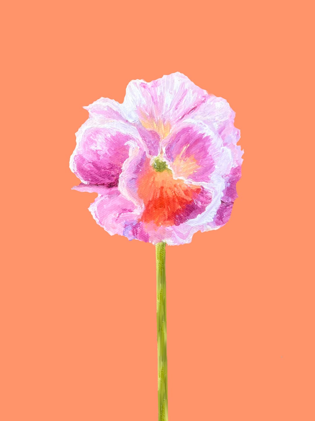 Pink and Orange Pansie Flower Art Print on Pink Backdrop, Single Stem ...