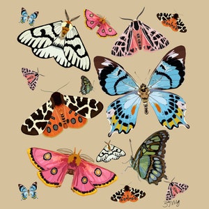 Colorful Elegance Butterfly Collage Print Wall Decor, Butterfly Art ...