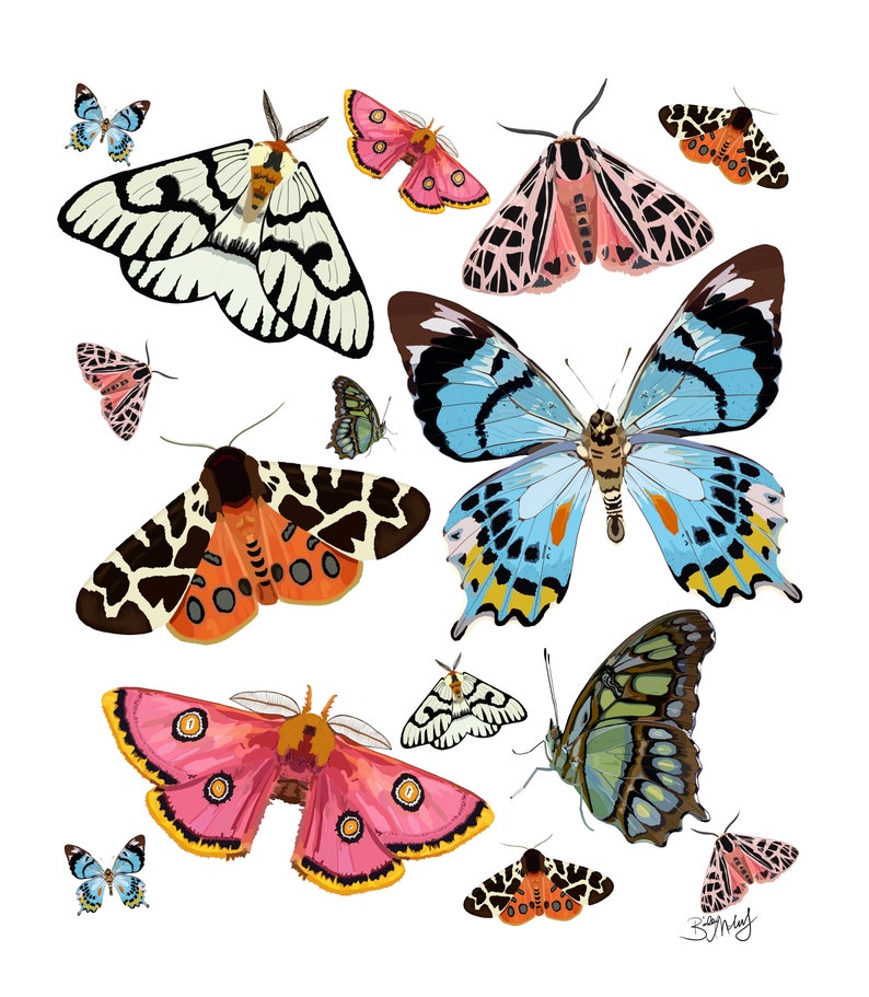 Colorful Elegance Butterfly Collage Print Wall Decor, Butterfly Art ...