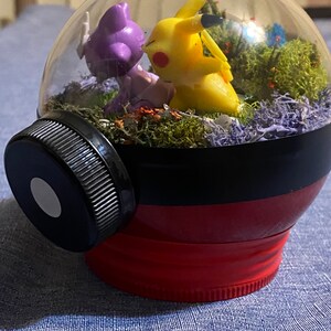 Pikachu Yelling at Toxel (pokémon) Paradise Ball - Etsy