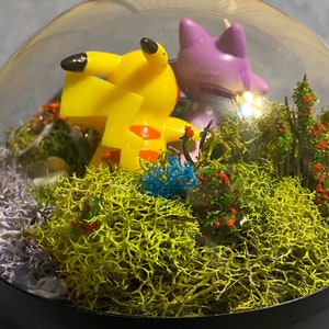 Pikachu Yelling at Toxel (pokémon) Paradise Ball - Etsy