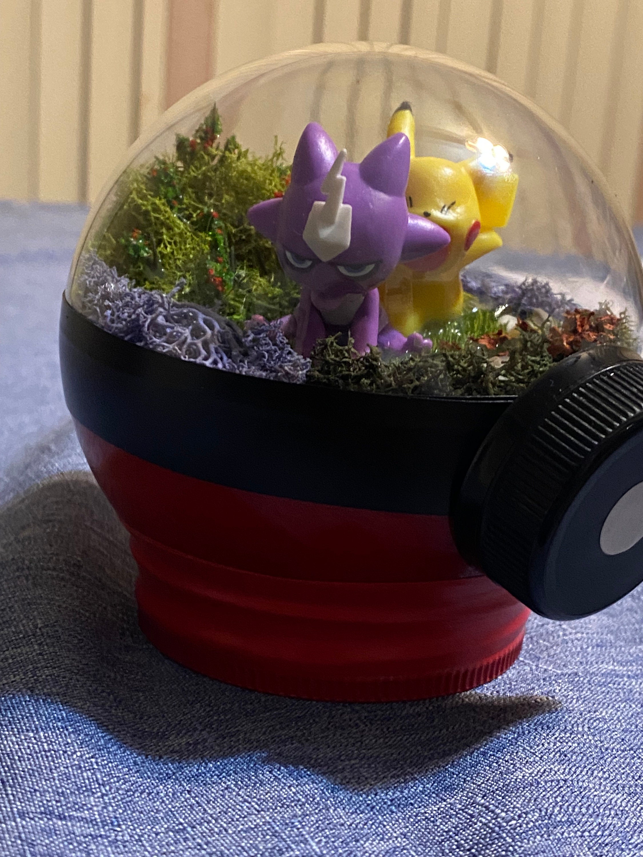 Pikachu Yelling at Toxel (pokémon) Paradise Ball - Etsy