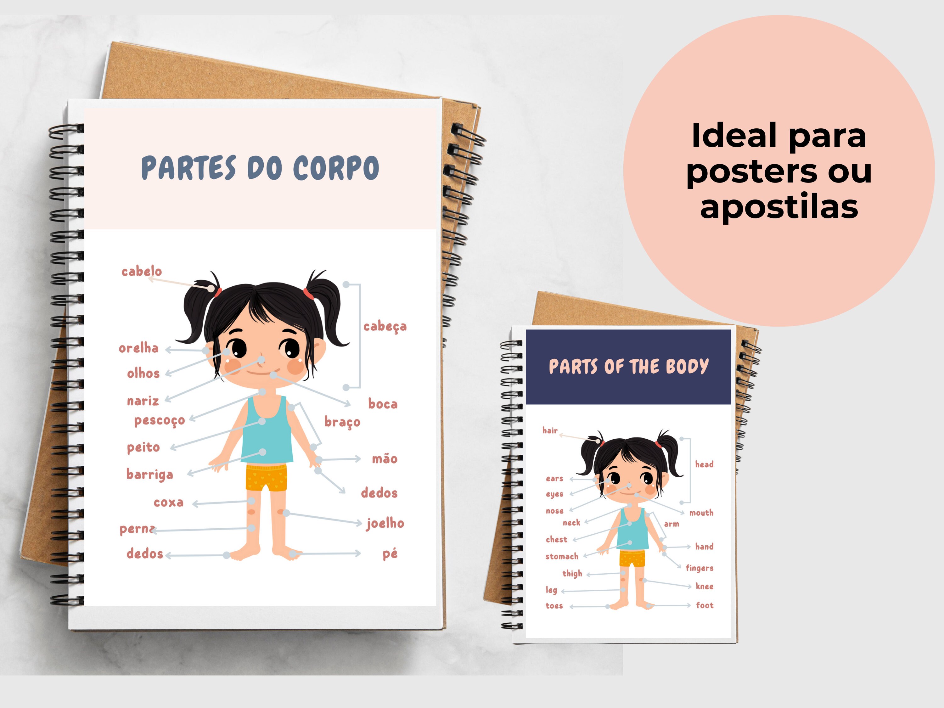 MEGA BUNDLE: Portuguese - English Homeschooling Posters and Sheets - Etsy
