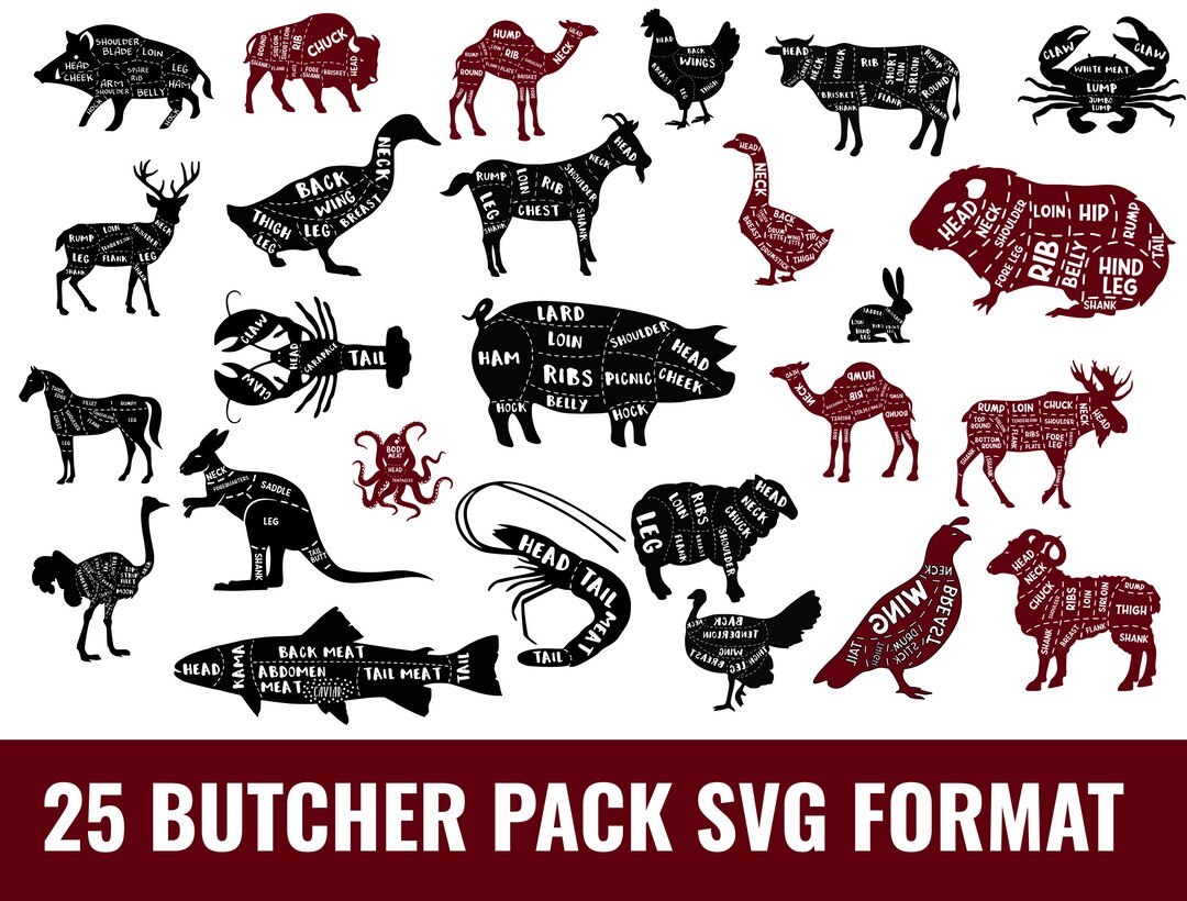 Metzger SVG Bundle, Metzger Guide SVG, Schnitte von Fleisch SVG ...