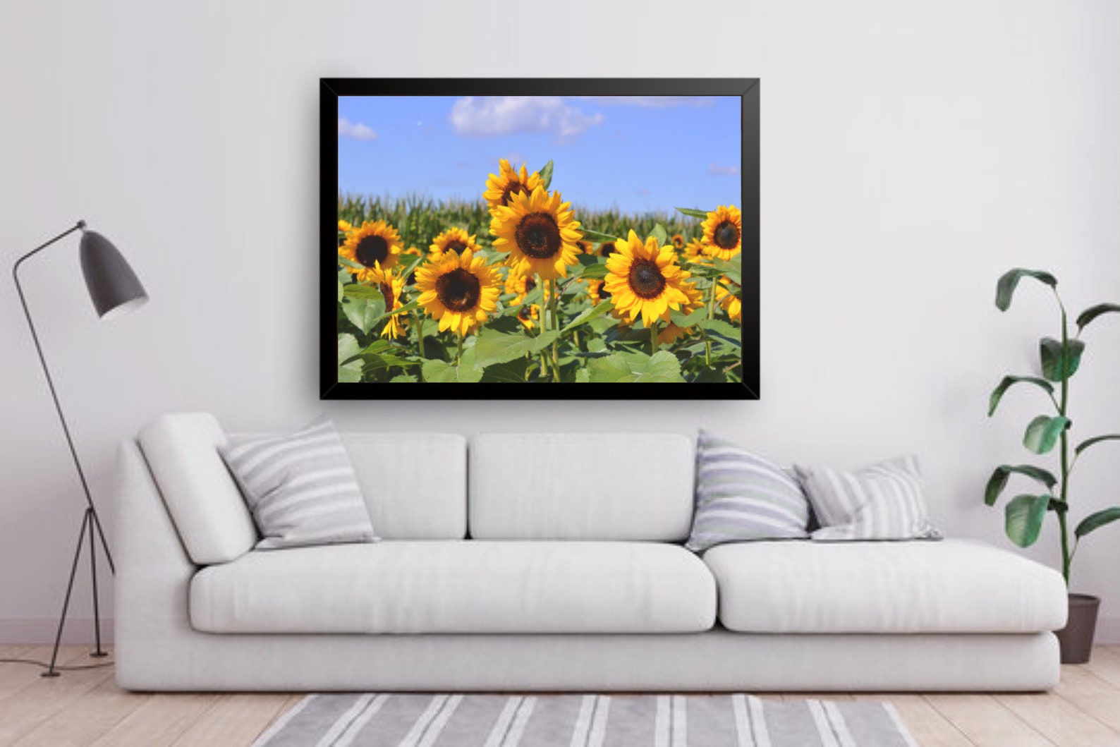 Vintage Sunflower Field Nature Photography, Digital Image Flower ...