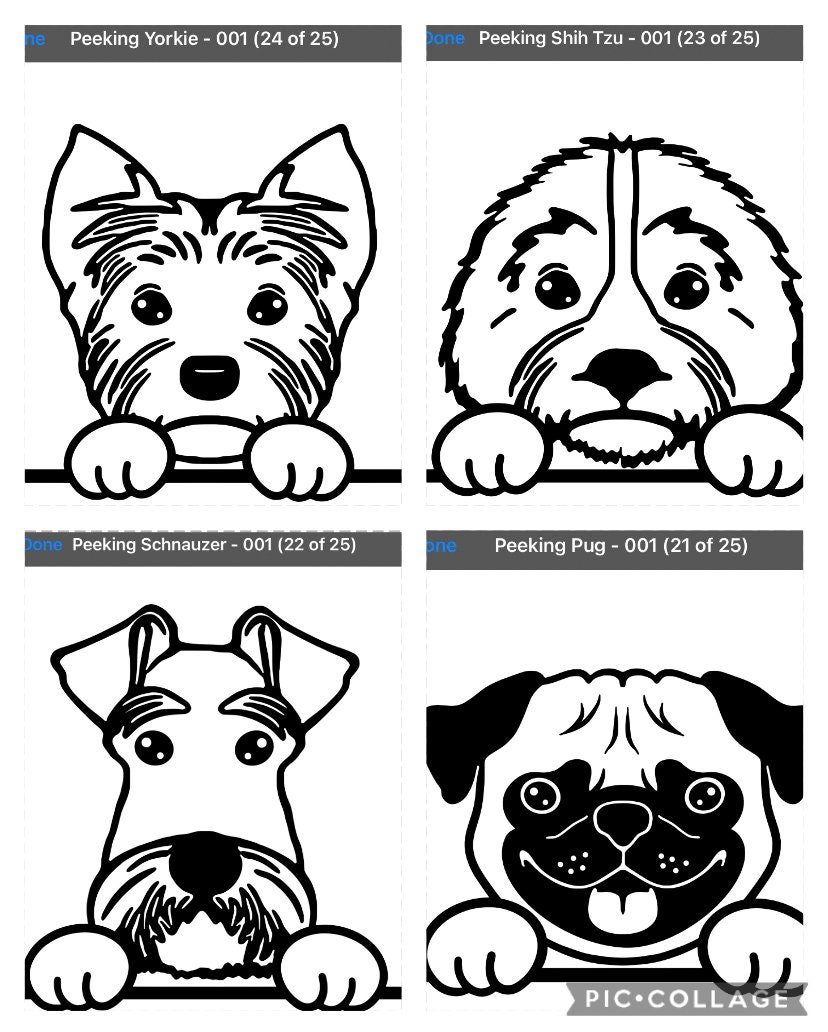 Peeking Dog Decals, Dog Breeds, Dog People, Dog Presents, Dog Mom, Dog ...