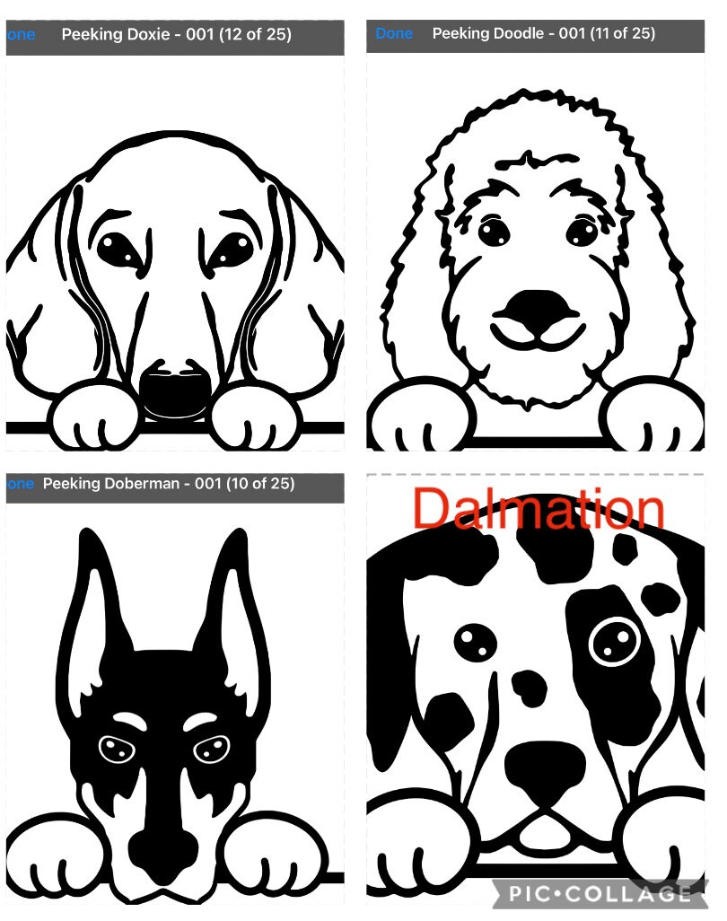 Peeking Dog Decals, Dog Breeds, Dog People, Dog Presents, Dog Mom, Dog ...