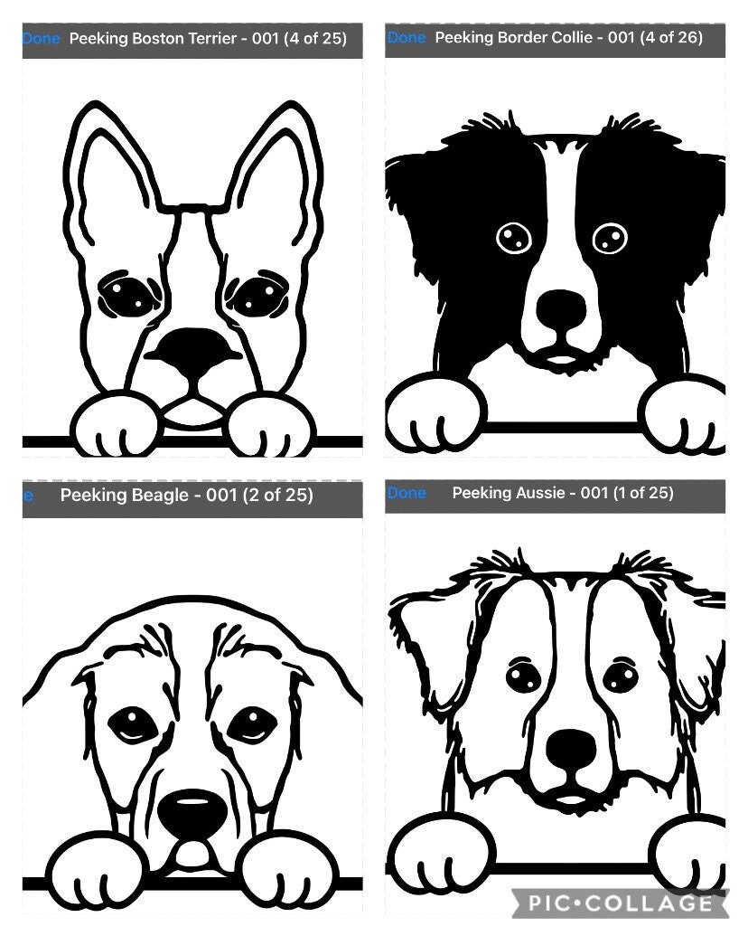 Peeking Dog Decals, Dog Breeds, Dog People, Dog Presents, Dog Mom, Dog ...
