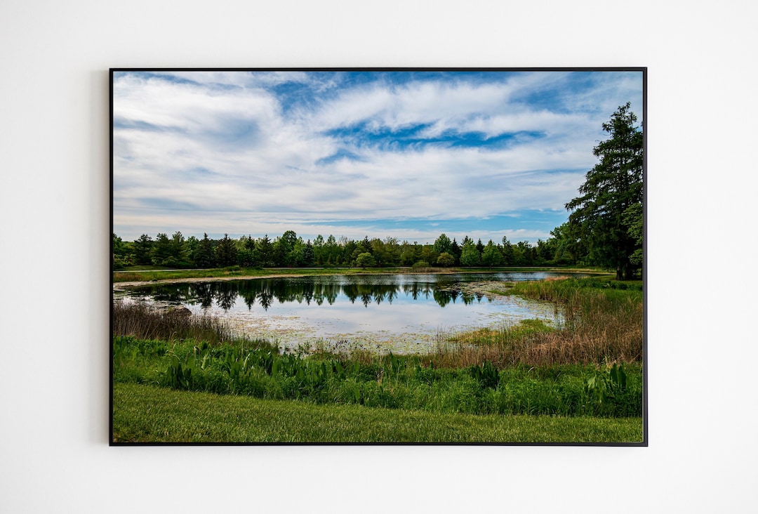 Meadow Lake at the Morton Arboretum, Summer Scenery, Reflections ...