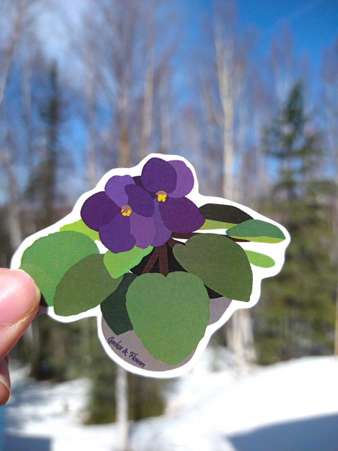 Purple African Violet Sticker - Etsy