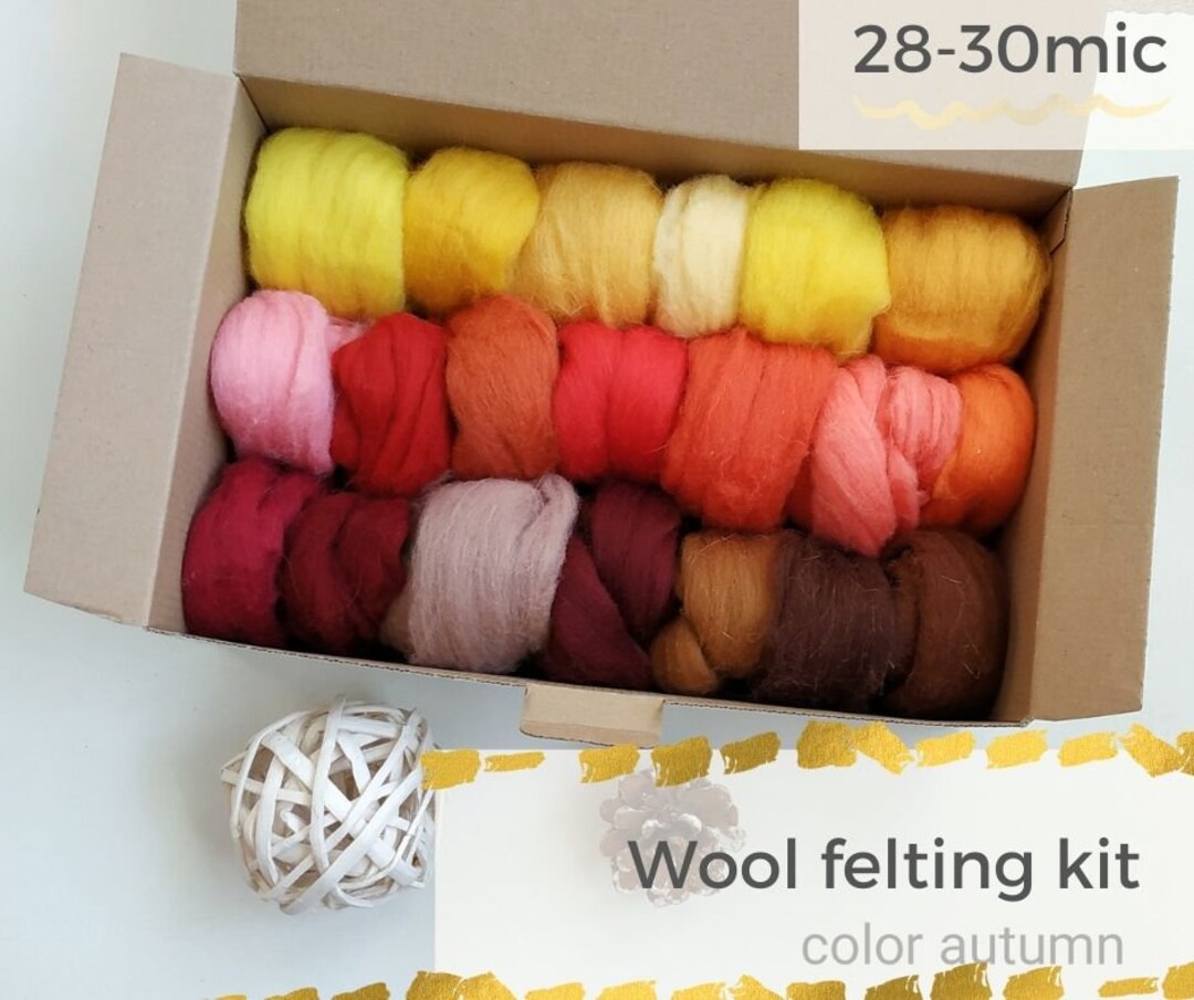 Wool Roving Diy Kits for Adults Craft Kit Wool Felting Kit - Etsy