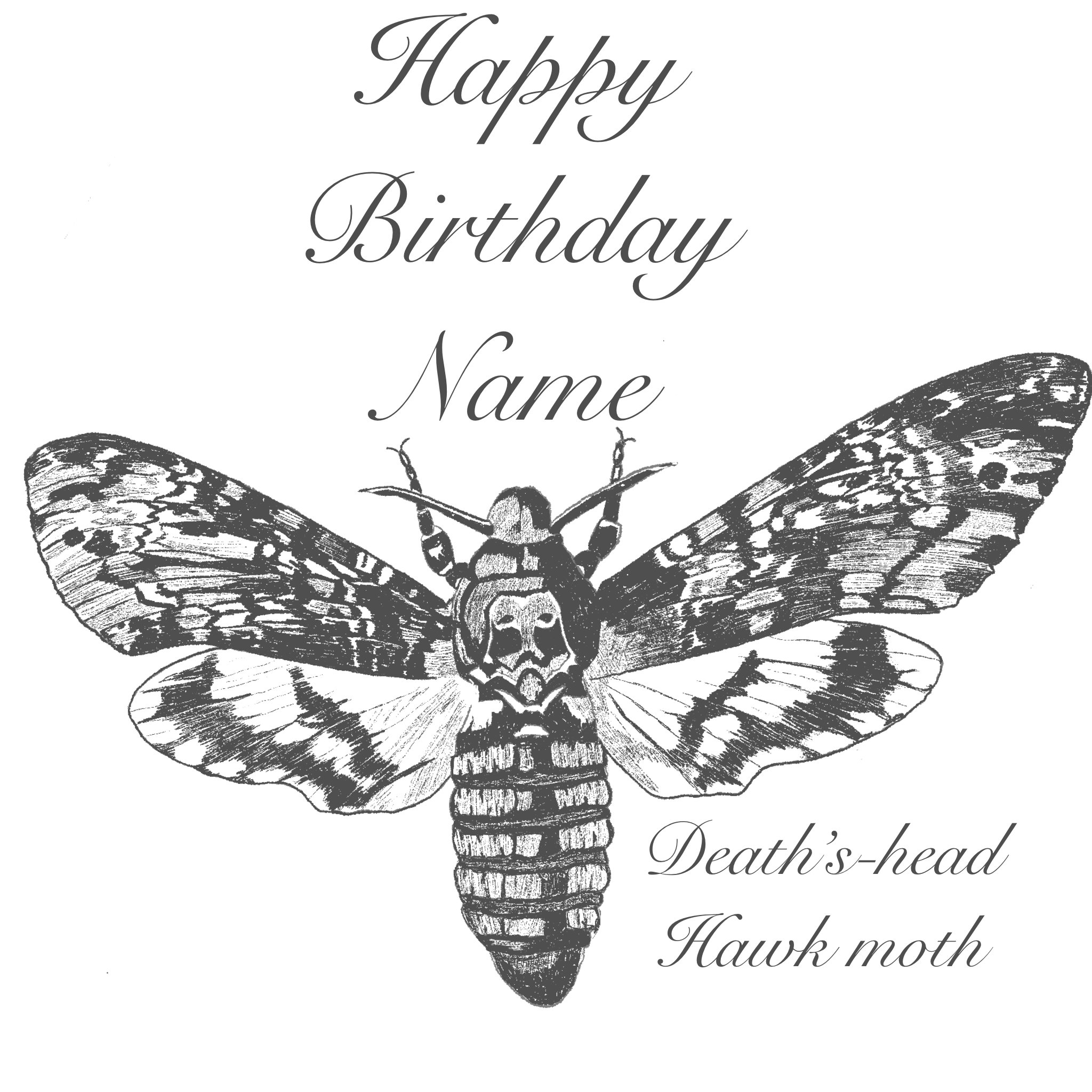 Hand Drawn Deaths Head Moth Birthday Card, Can Be Changed to Any ...