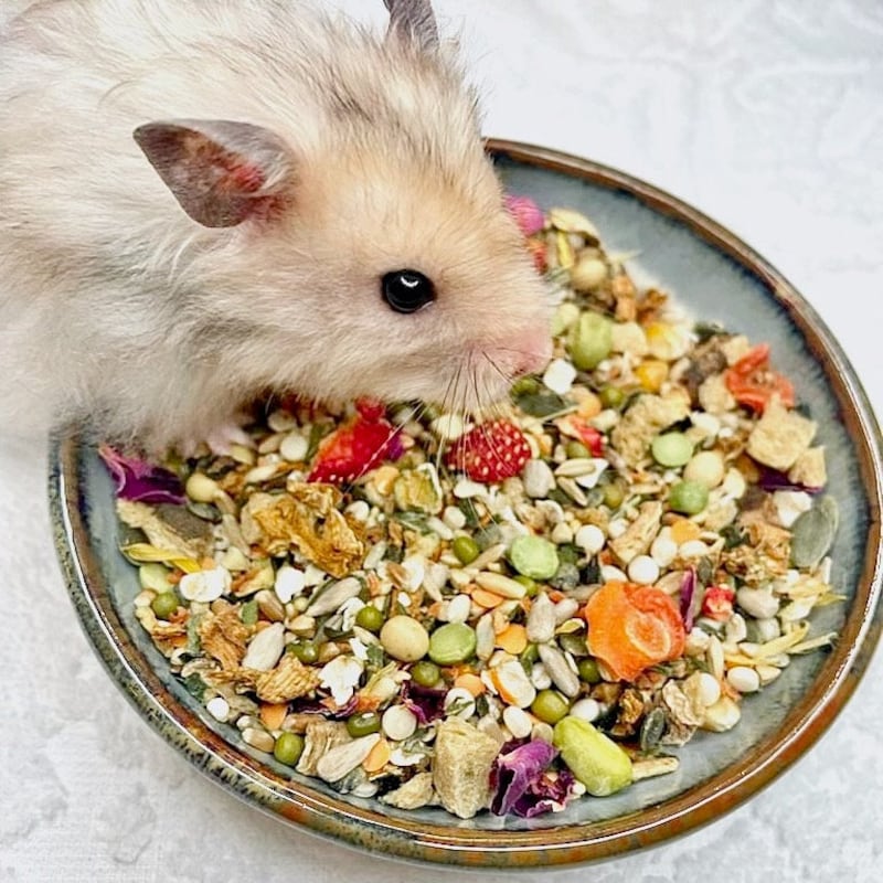 Food Mix Dwarf Hamster - Etsy UK
