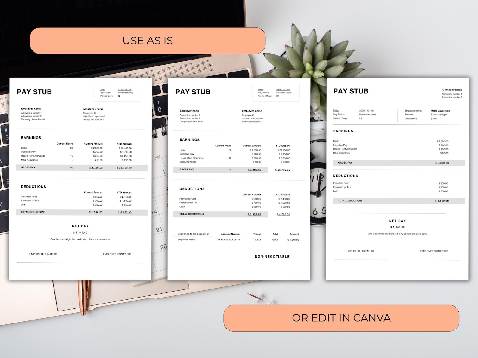 Editable Pay Stub Template: Professional Payroll Form (canva Template ...