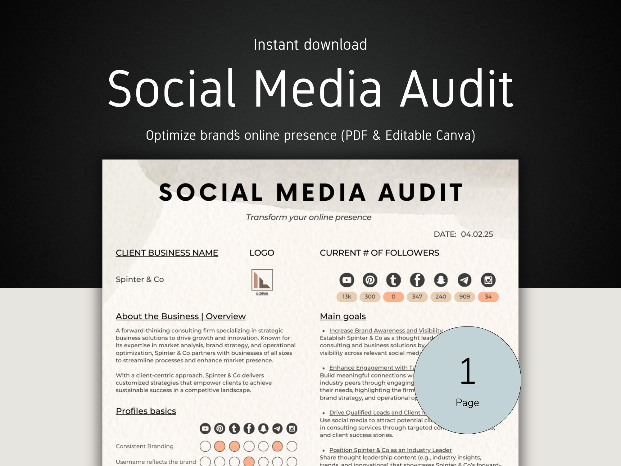 Social Media Audit Template PDF to Download - Etsy