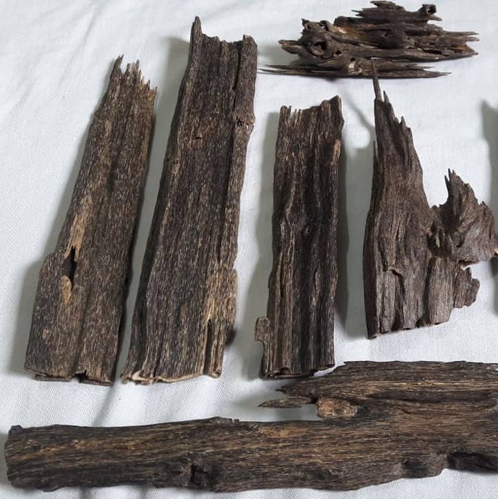 VIP : Nagaland Triple Super | Agarwood Sticks | 18 Years + | Red Soil ...