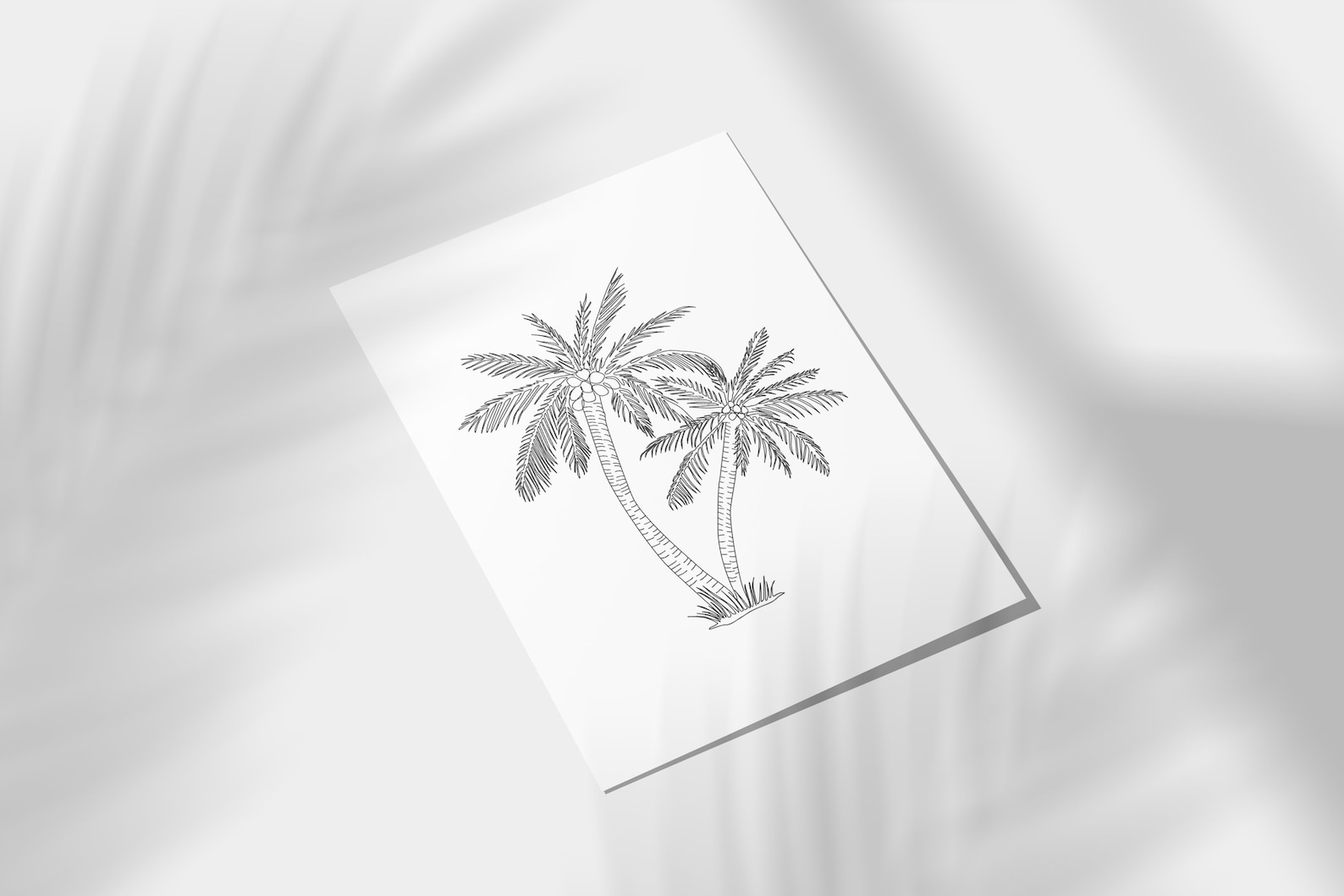 Single Line Art Palm Tree Drawing, Hand Drawn Palm Tree, Line Art Coco ...
