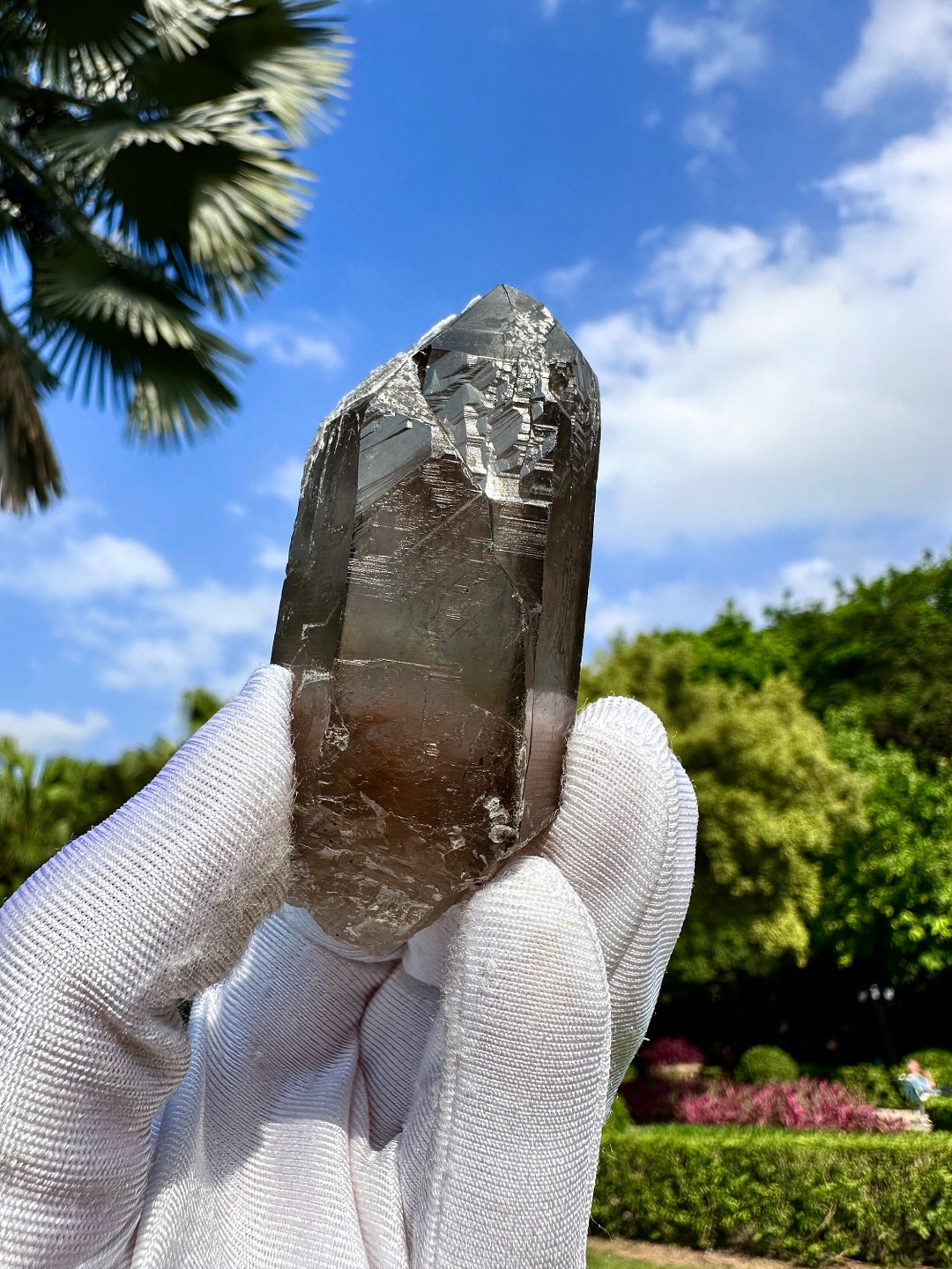 Rarest Natural Morian smoky Quartz , Root Chakra Crystal, Powerful ...