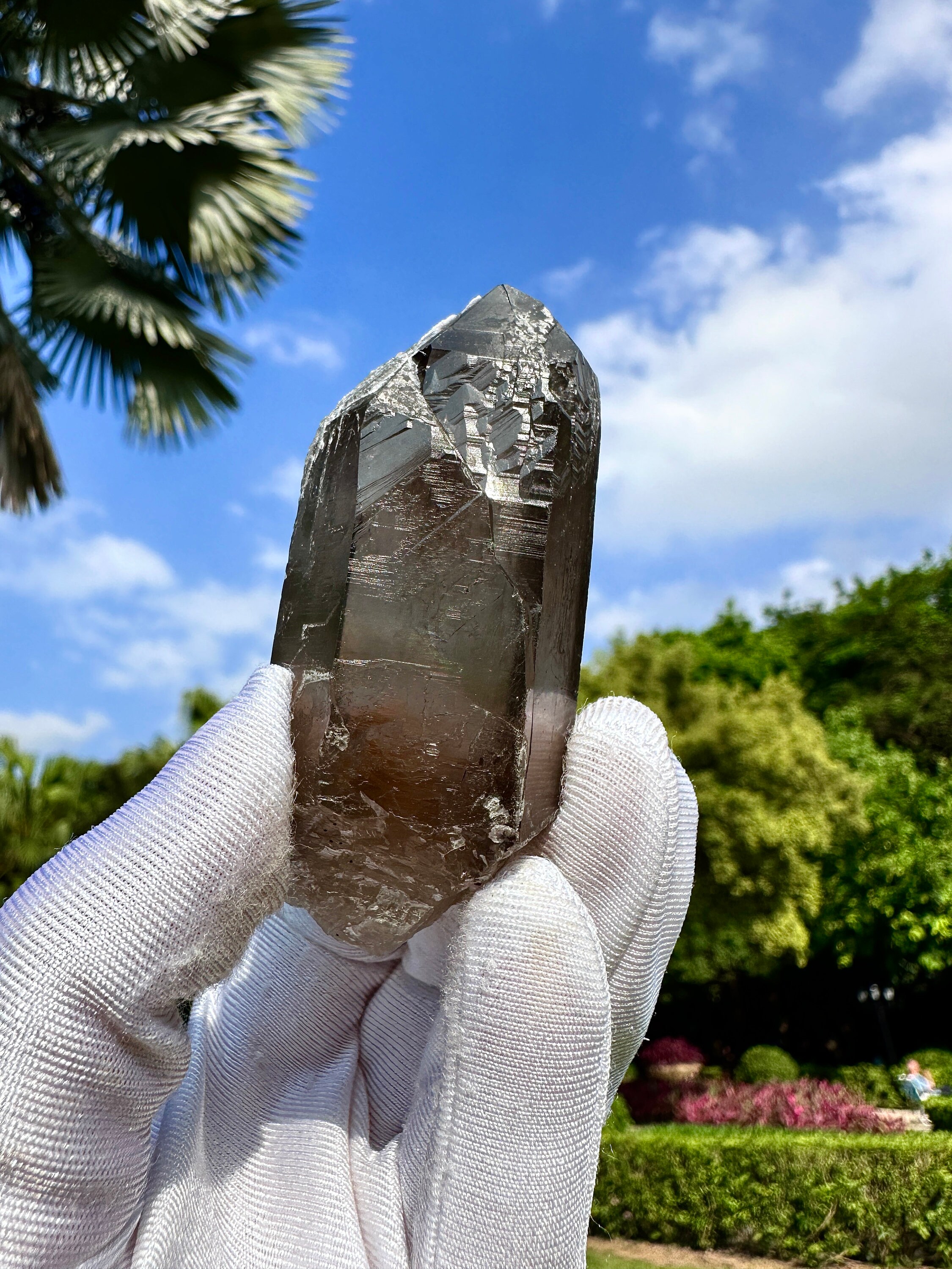 Rarest Natural Morian smoky Quartz Root Chakra Crystal - Etsy