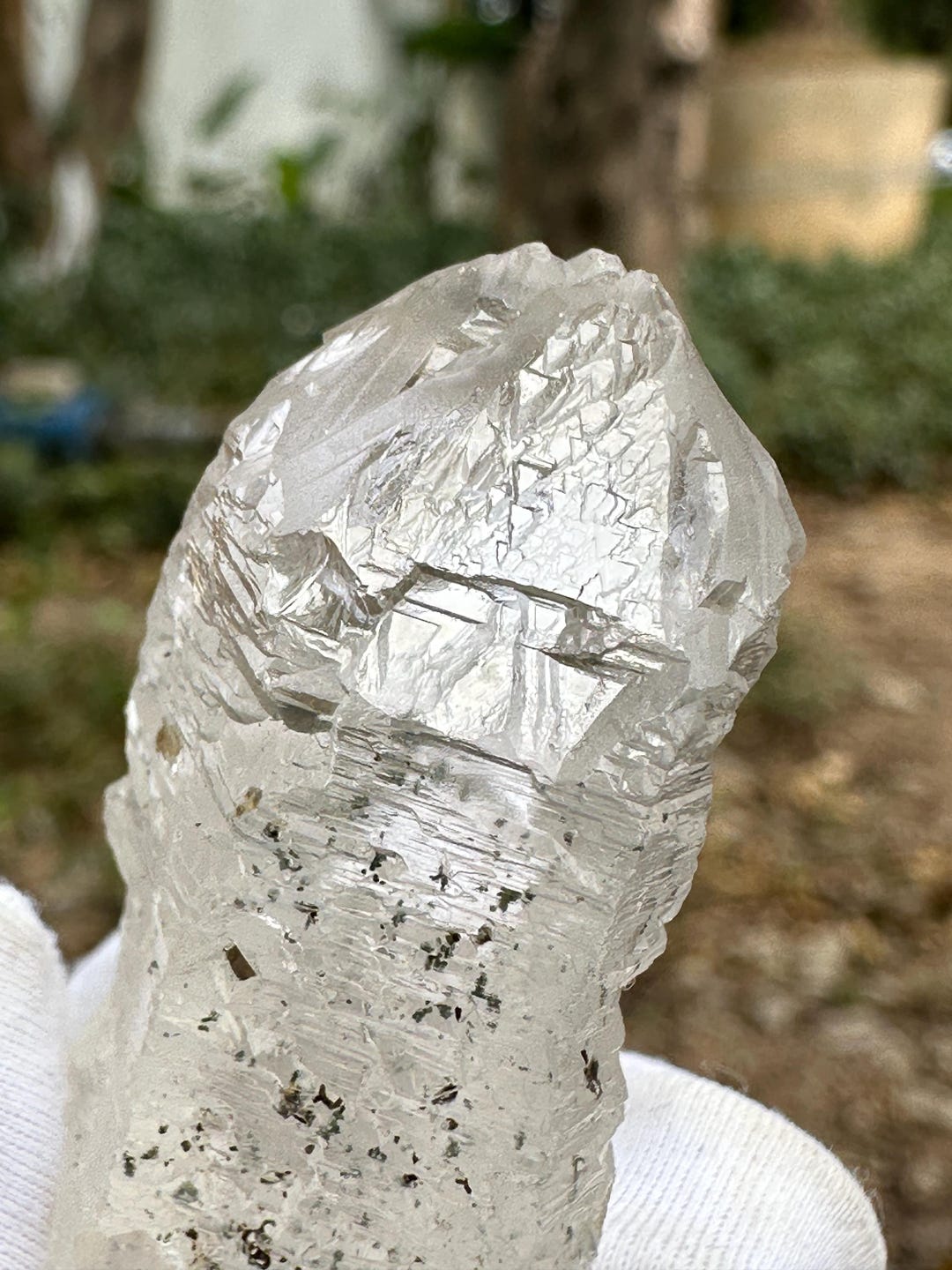 Rare DT Himalayan Nirvana Quartz With Trigonic Record Keeper Mark,self ...