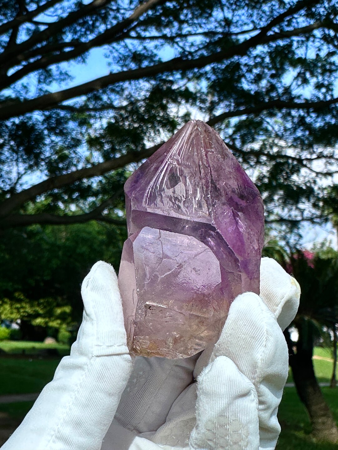 Madagascar Skeletal Amethyst Crystal: Vitreous Self-healing Root (137 ...