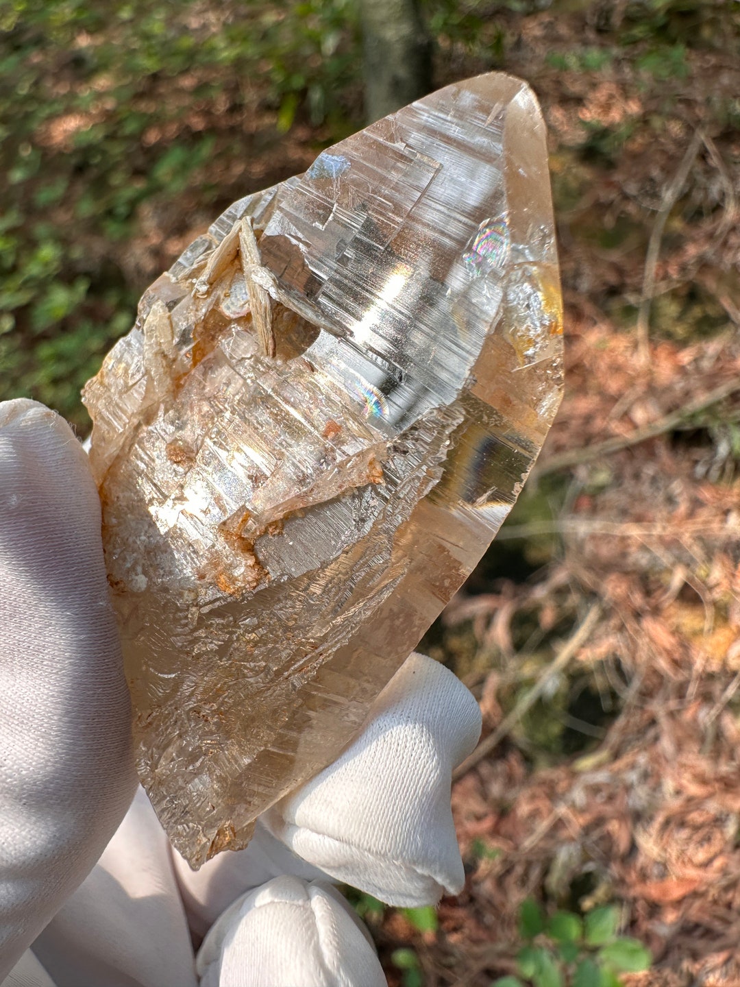 Himalayan Clear Tabular Quartz W/akashic Threads & Silver Mica |record ...