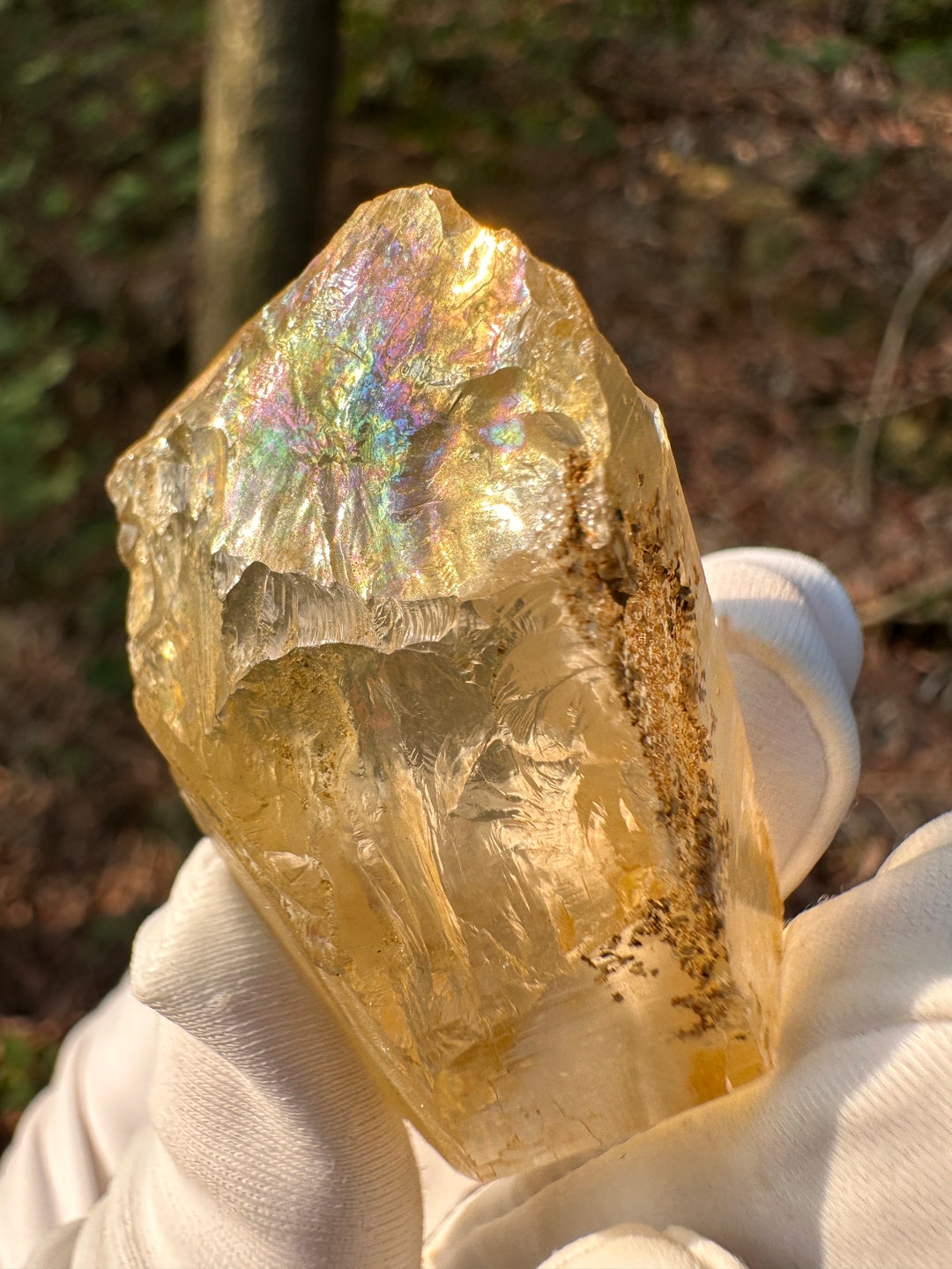 Himalayan Golden Healer Quartz Point: Rainbow Sheen, Self-healed ...
