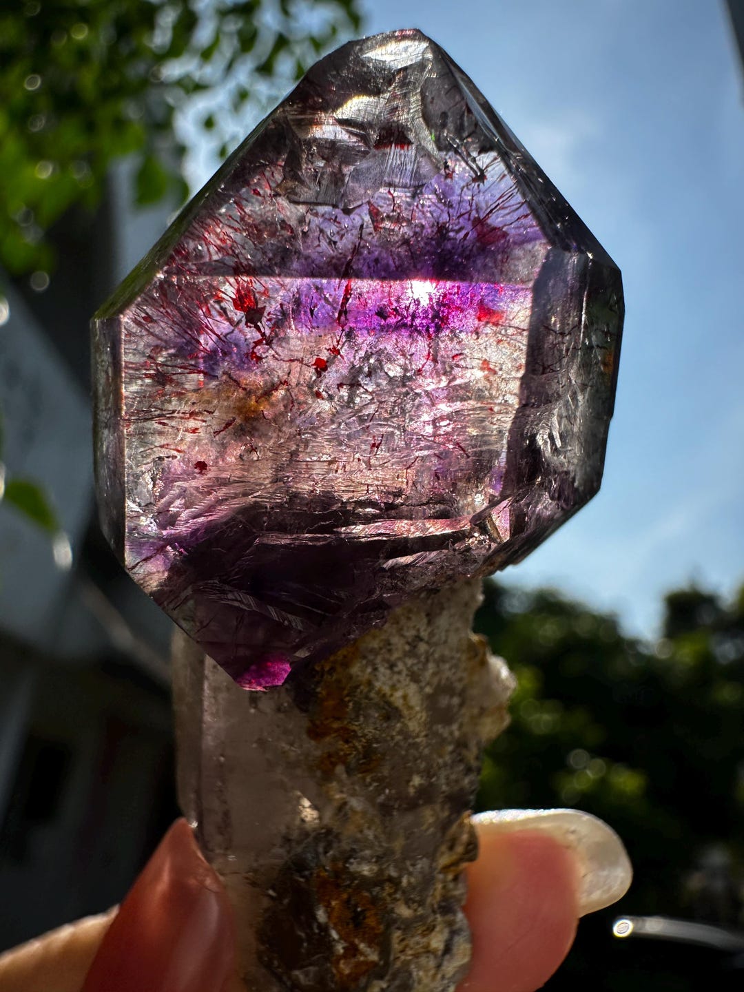 Double-terminated Super 7 Scepter Crystal From Zimbabwe | Healing ...