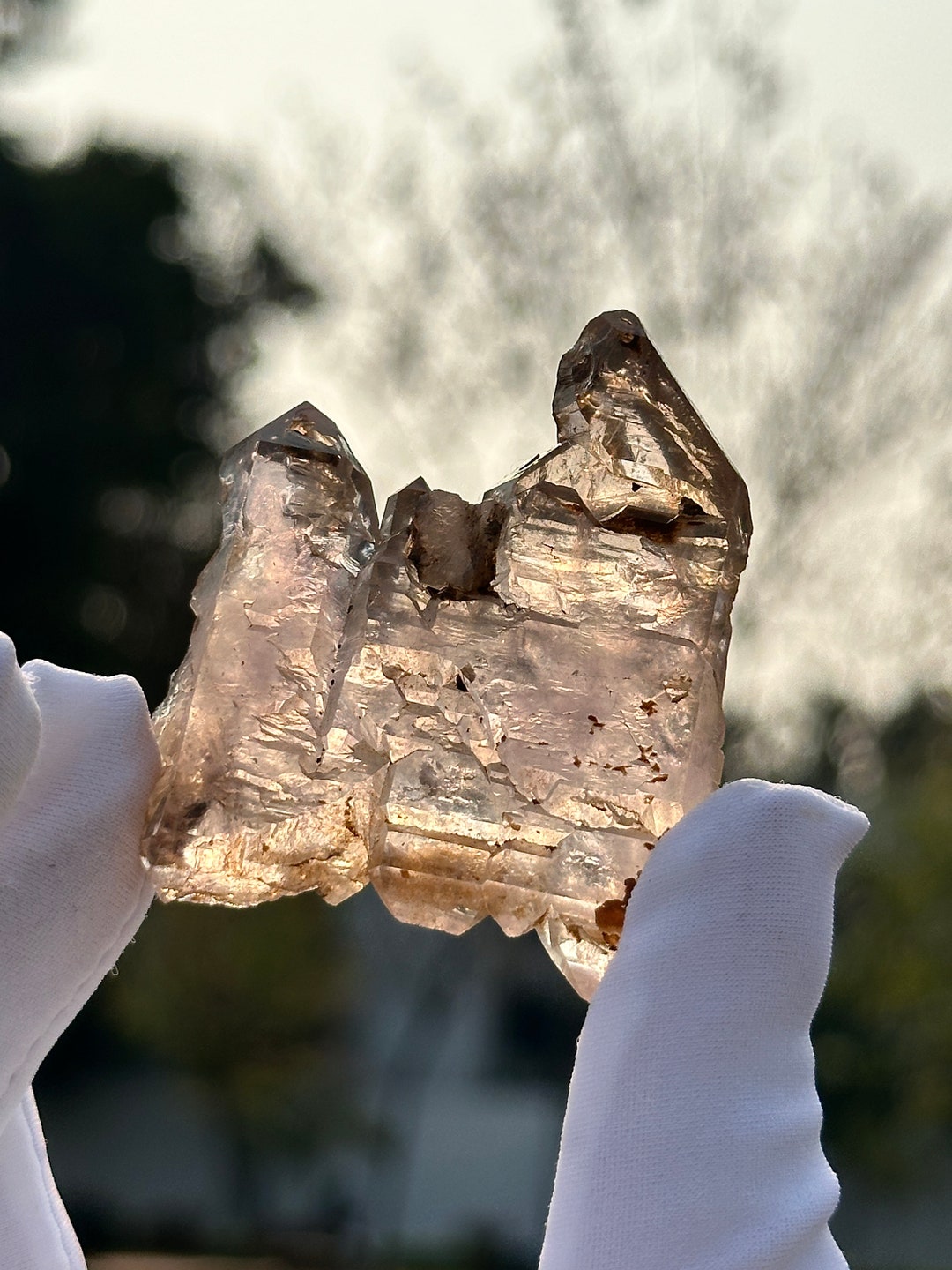 Rare Triumphal Arch Amethyst Skeletal Quartz Crystal - Himalayan Tormik ...