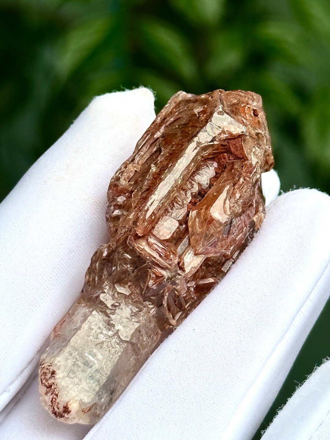 Rarest Golden Enhydro Skeletal With UV Reactive Petroleum and - Etsy