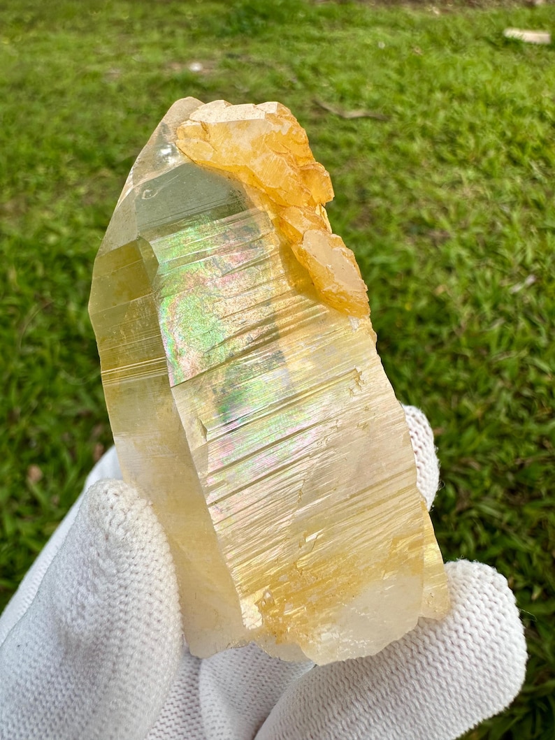 Golden Healer Himalayan Quartz: Tabular Rainbow Crystal, Self-healed ...