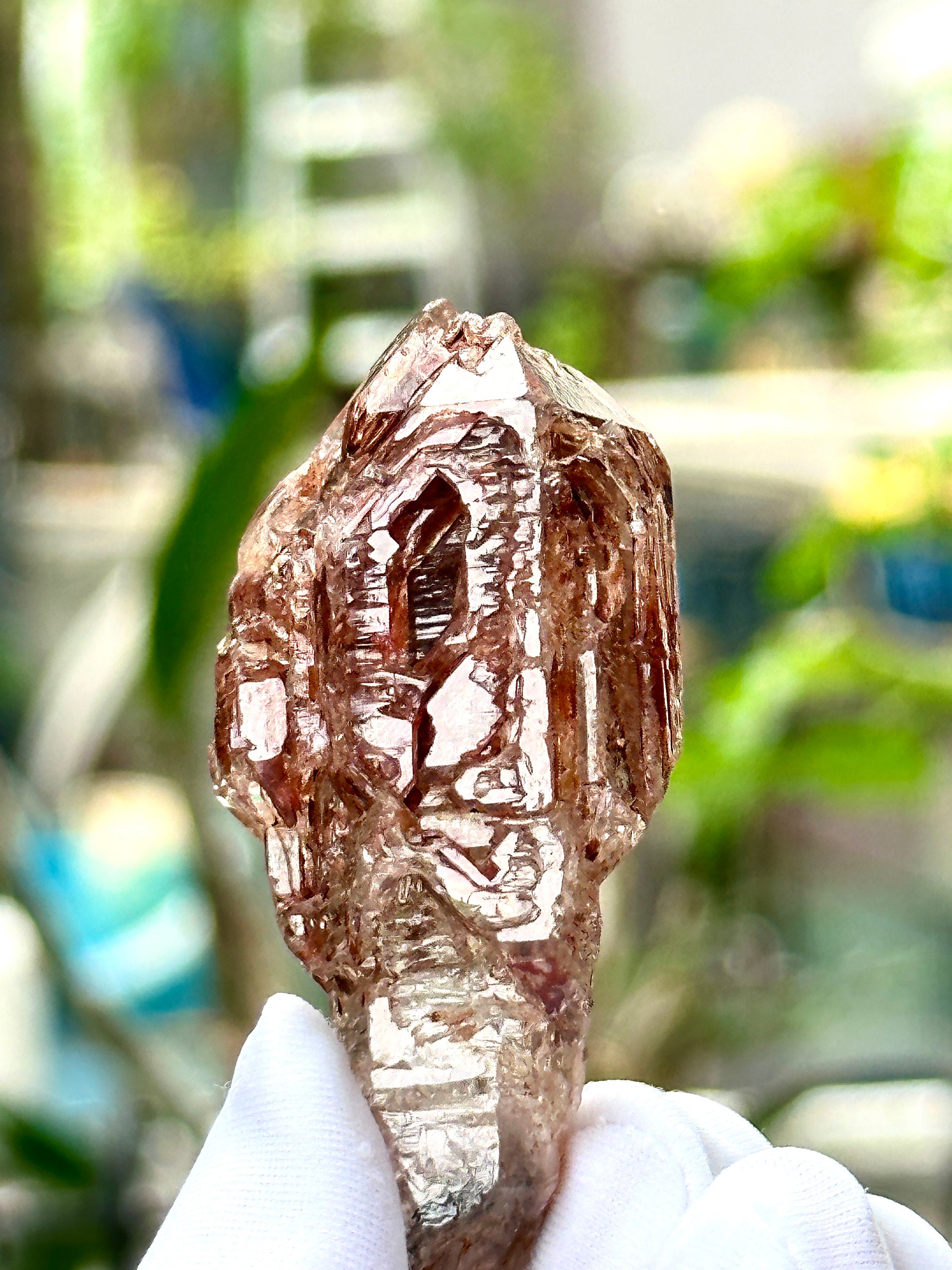 Rarest Golden Enhydro Skeletal With UV Reactive Petroleum and - Etsy